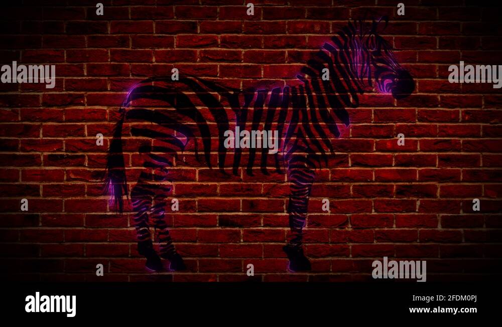 Zebra markings Stock Videos & Footage - HD and 4K Video Clips - Alamy