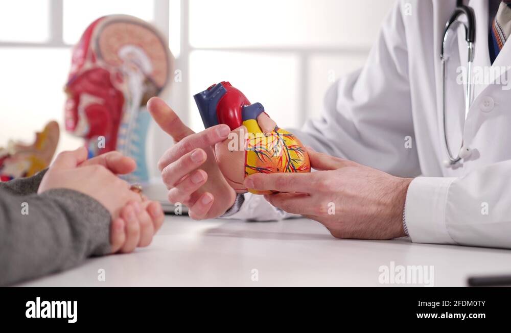 Doctor Talking to a Patient With a Human Heart Model Stock Video ...
