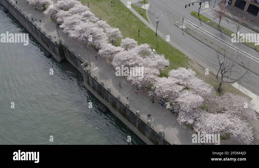 Bloom oregon Stock Videos & Footage - HD and 4K Video Clips - Alamy