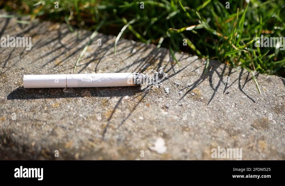 Cigarette smokes close up. An abandoned cigarette causes a fire ...