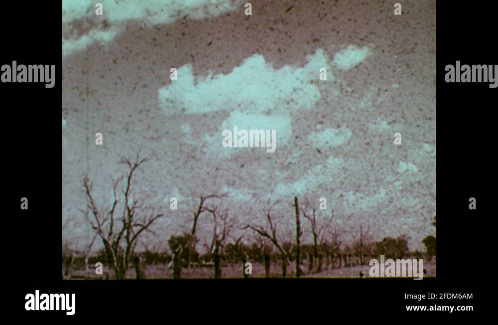 1960s: Dead trees. Animated lines on chart. Man sells apples. Person ...