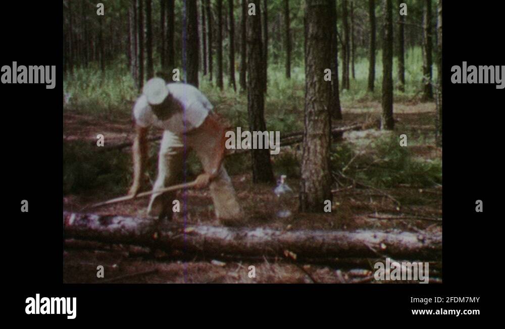 1950s: Young man chops at felled tree. Boy carries jug to stream and ...