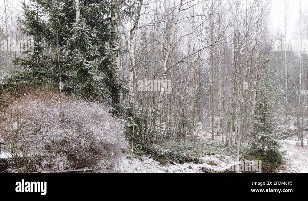 April snowfall Stock Videos & Footage - HD and 4K Video Clips - Alamy