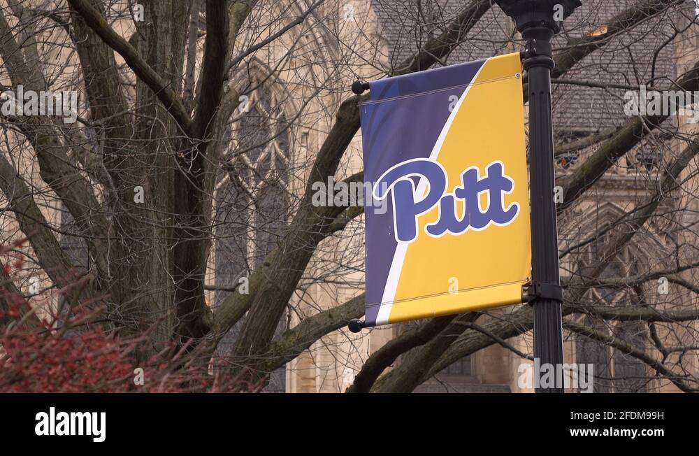 Pitt campus Stock Videos & Footage - HD and 4K Video Clips - Alamy