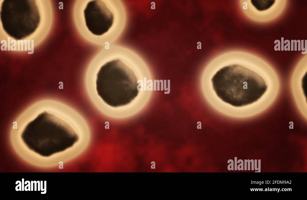 Worming Stock Videos & Footage - HD and 4K Video Clips - Alamy