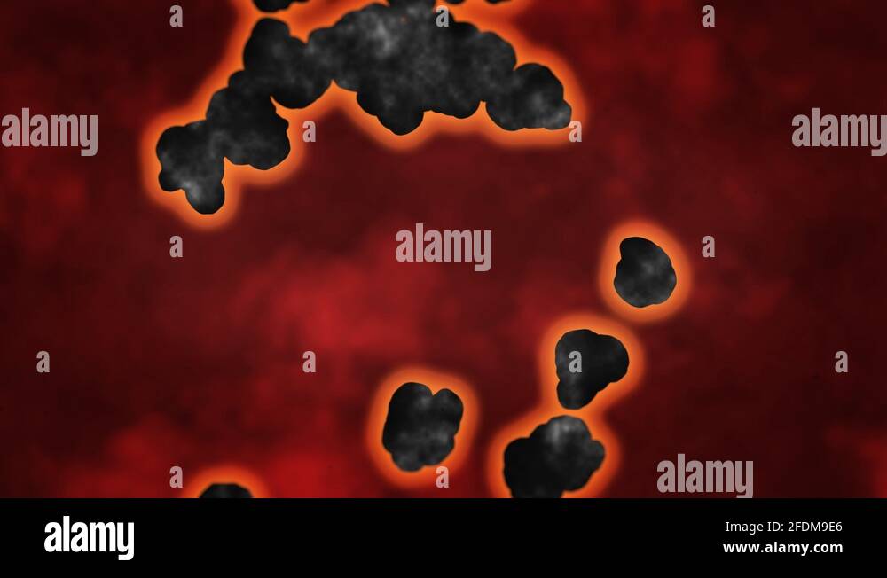 Shiny bacteria Stock Videos & Footage - HD and 4K Video Clips - Alamy