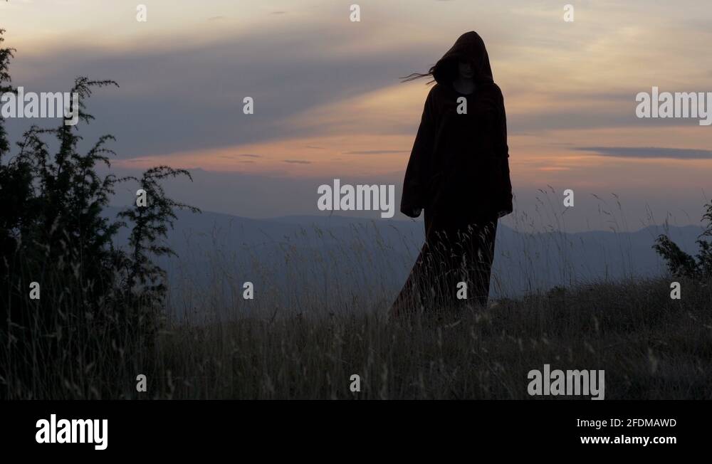 Standing wizard Stock Videos & Footage - HD and 4K Video Clips - Alamy