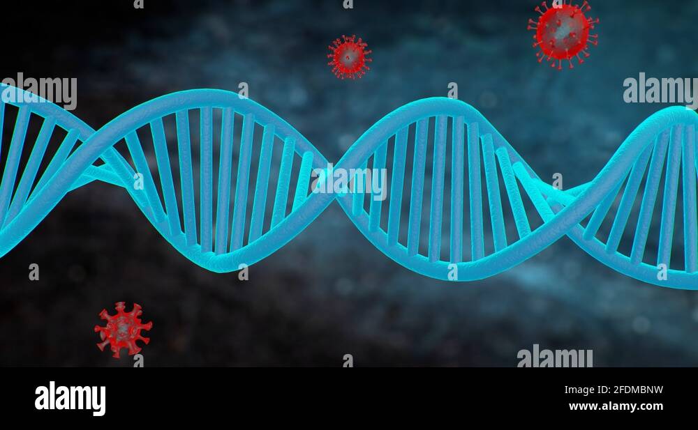 Rna Double Helix Slow loop-able shot closeup Depth Of Field in 4K Stock ...
