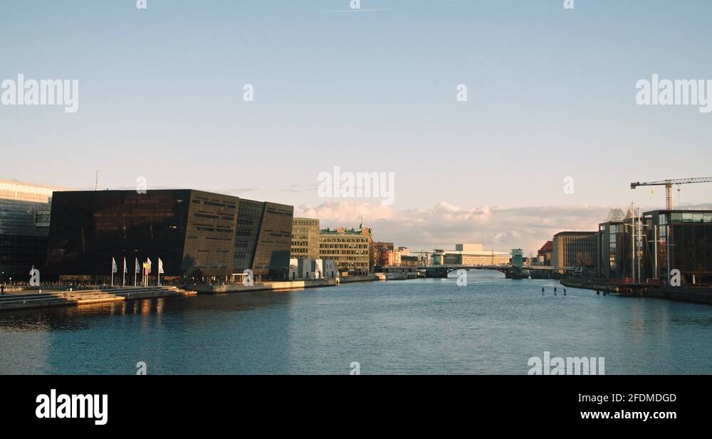 Sorte Stock Videos & Footage - HD and 4K Video Clips - Alamy