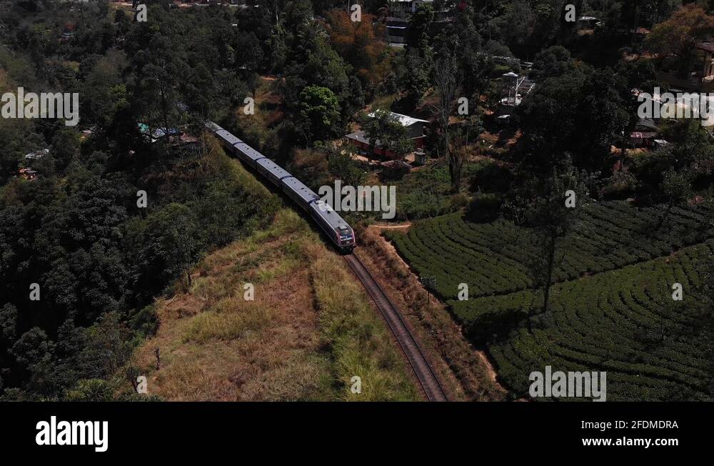 Sri lanka train tea Stock Videos & Footage - HD and 4K Video Clips - Alamy
