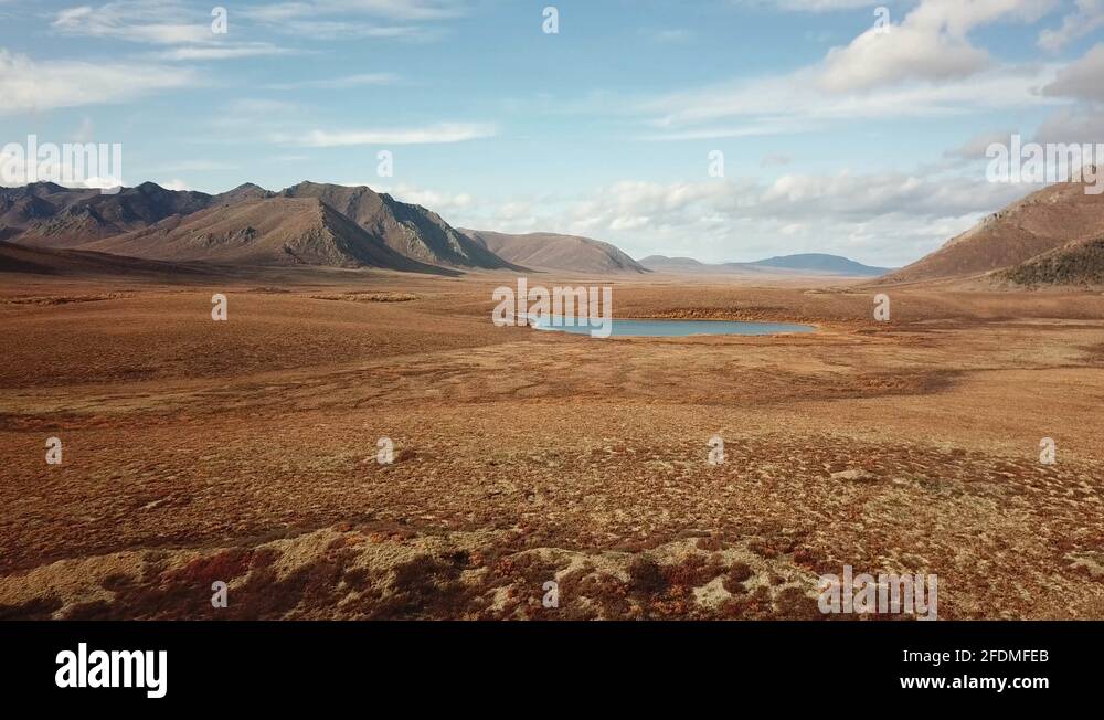 Tundra colors Stock Videos & Footage - HD and 4K Video Clips - Alamy