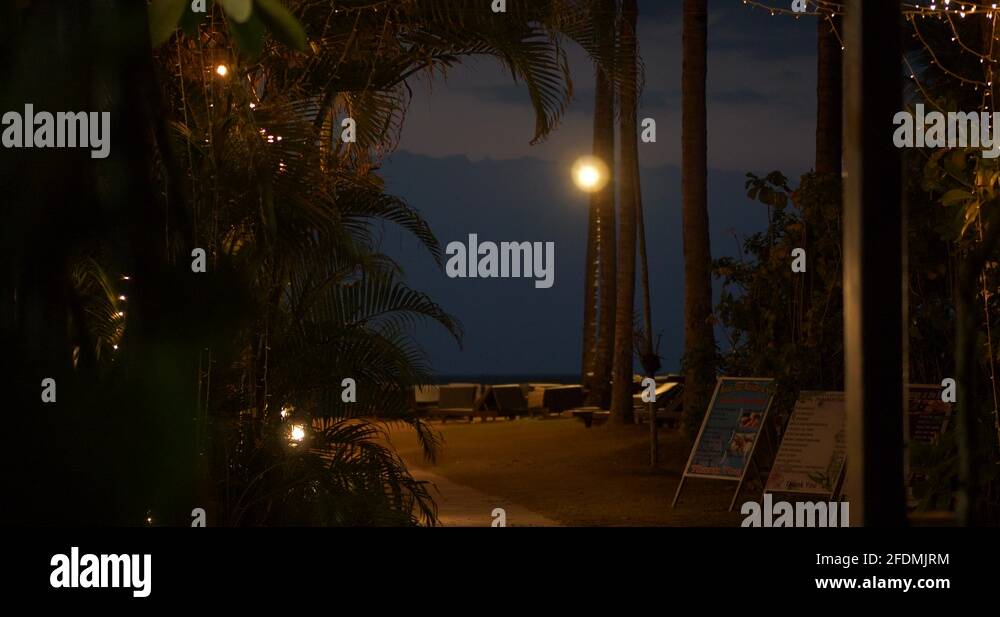 Tropical beach path night Stock Videos & Footage - HD and 4K Video ...