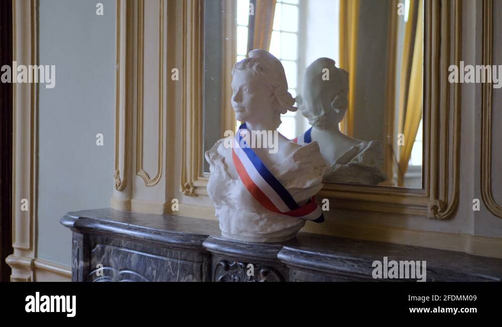 Marianne french symbol Stock Videos & Footage - HD and 4K Video Clips ...