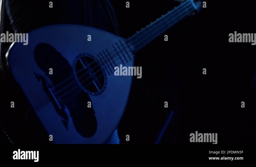 Man with a lute Stock Videos & Footage - HD and 4K Video Clips - Alamy