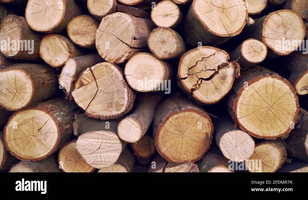 Pile of logs texture Stock Videos & Footage - HD and 4K Video Clips - Alamy