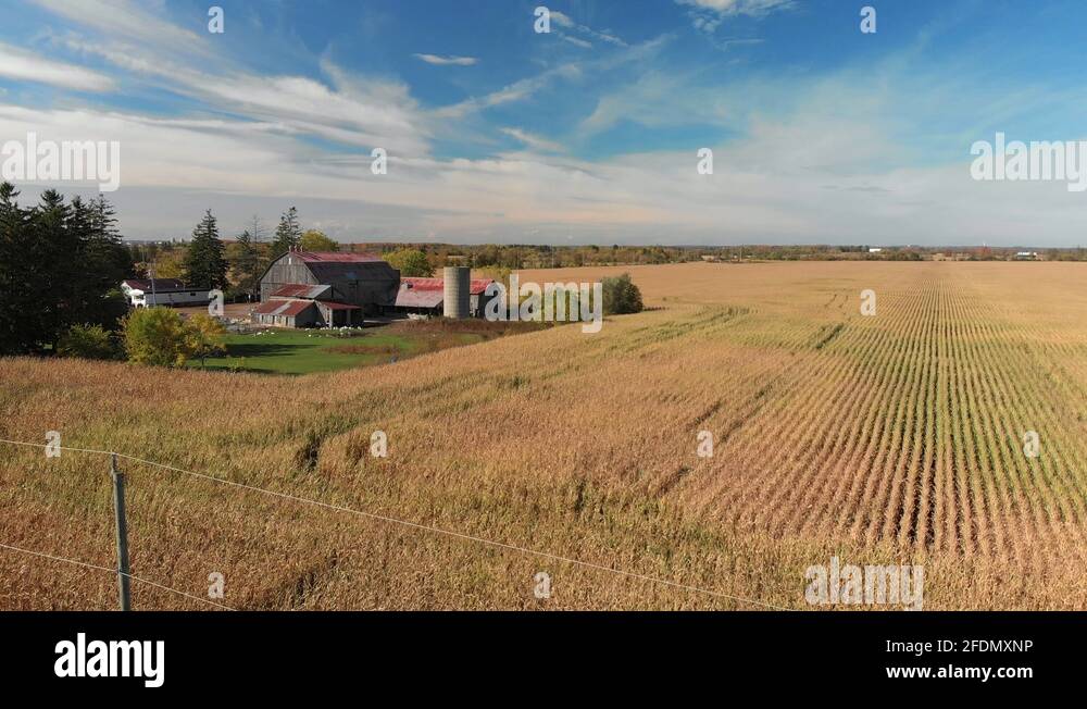 Canadian farm Stock Videos & Footage - HD and 4K Video Clips - Alamy