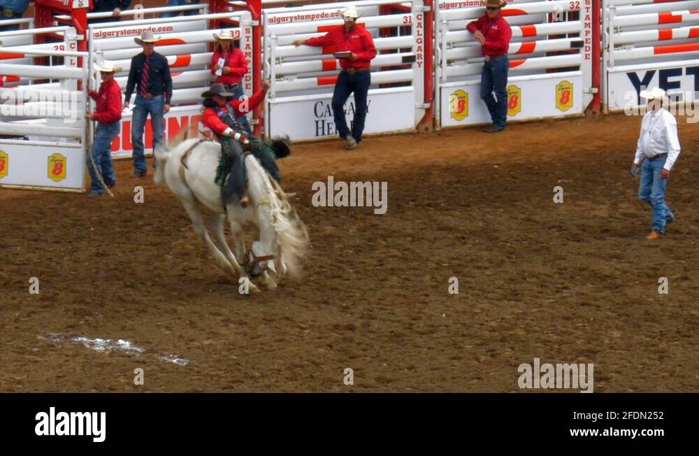 Bareback horse rider Stock Videos & Footage - HD and 4K Video Clips - Alamy