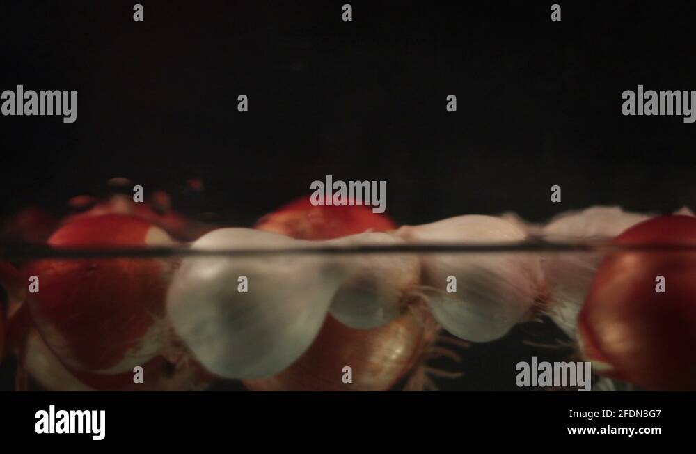 Floating vegetables Stock Videos & Footage - HD and 4K Video Clips - Alamy