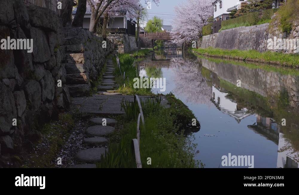 Cherry blossom walkway Stock Videos & Footage - HD and 4K Video Clips ...