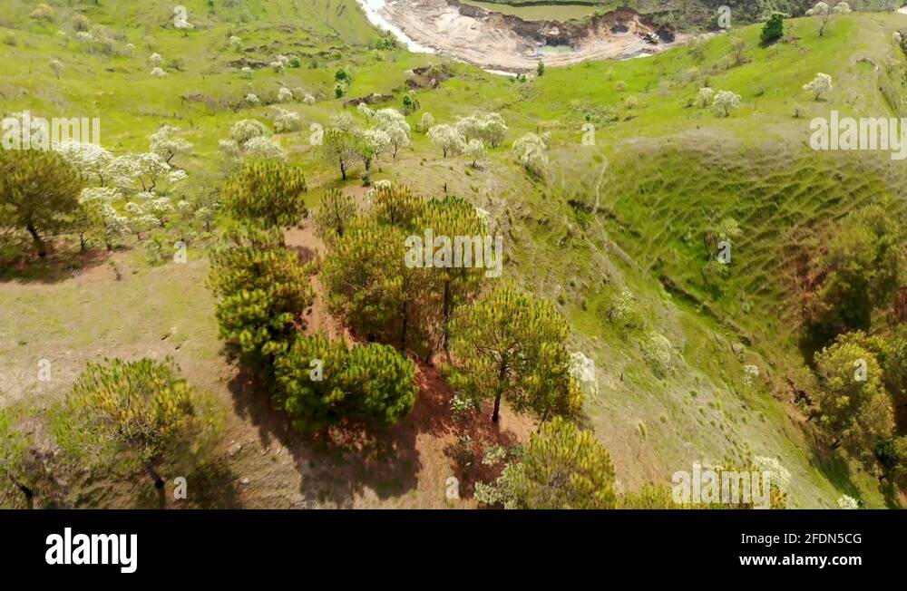 Aerial view of green landscape Stock Videos & Footage - HD and 4K Video ...