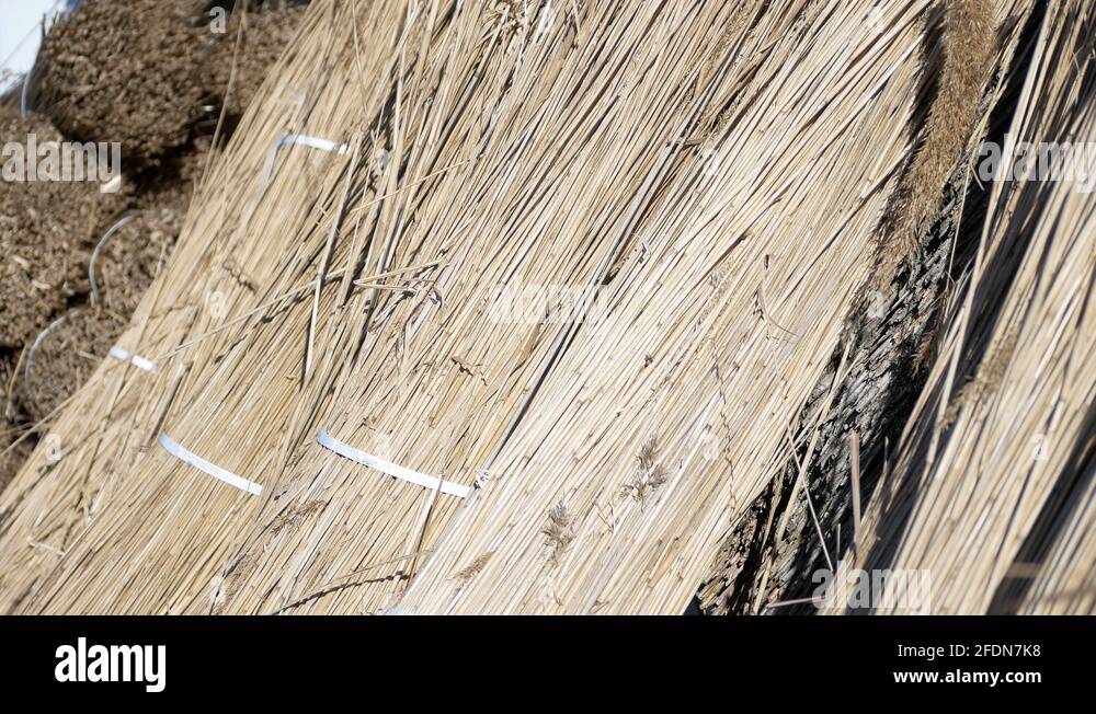 Bundles thatch grass Stock Videos & Footage - HD and 4K Video Clips - Alamy
