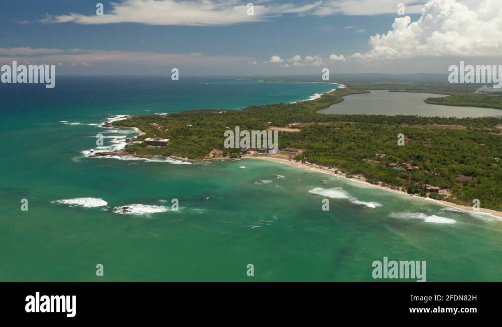 Turtle point Stock Videos & Footage - HD and 4K Video Clips - Alamy