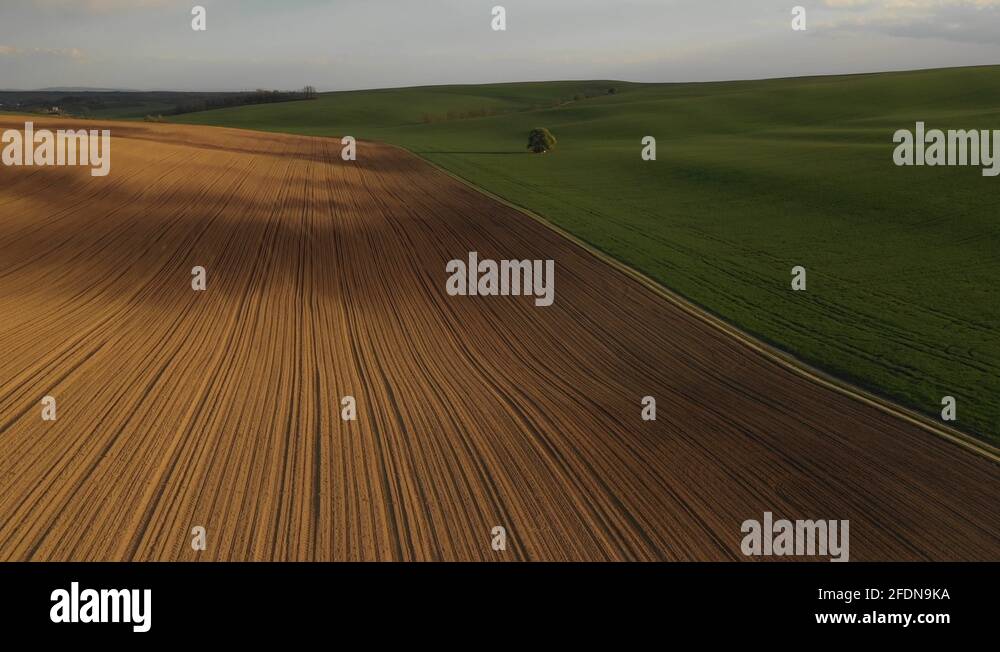 Tree plough Stock Videos & Footage - HD and 4K Video Clips - Alamy