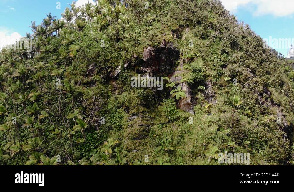 El yunque and puerto rico and people Stock Videos & Footage - HD and 4K ...