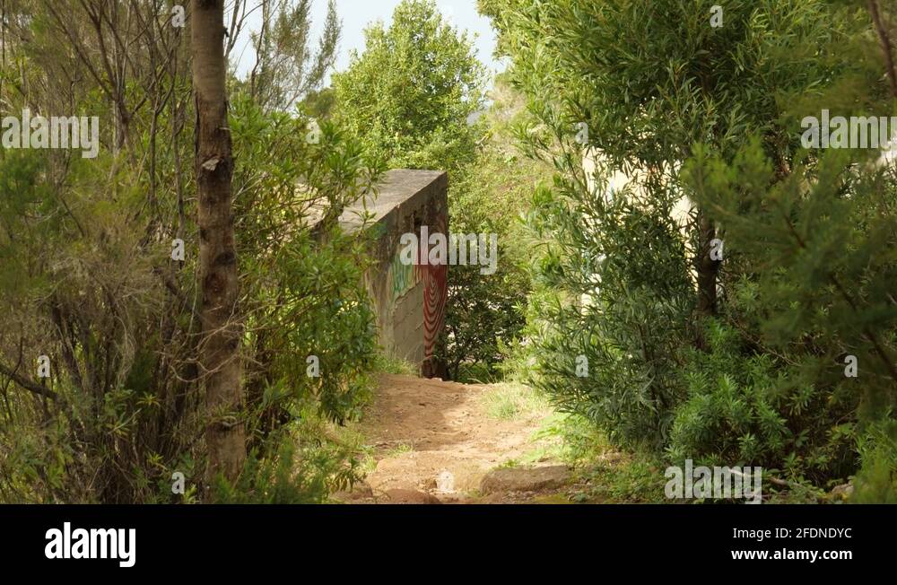 House at end of pathway Stock Videos & Footage - HD and 4K Video Clips ...