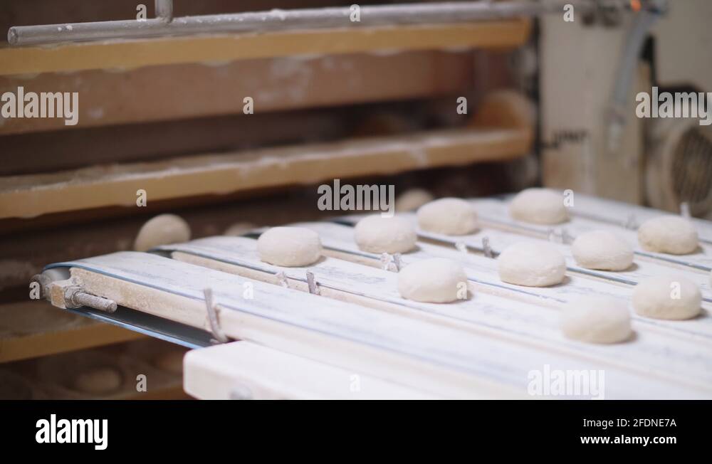 Automated Process Of Fresh Dough Balls Dropping Onto Vertical Conveyor ...