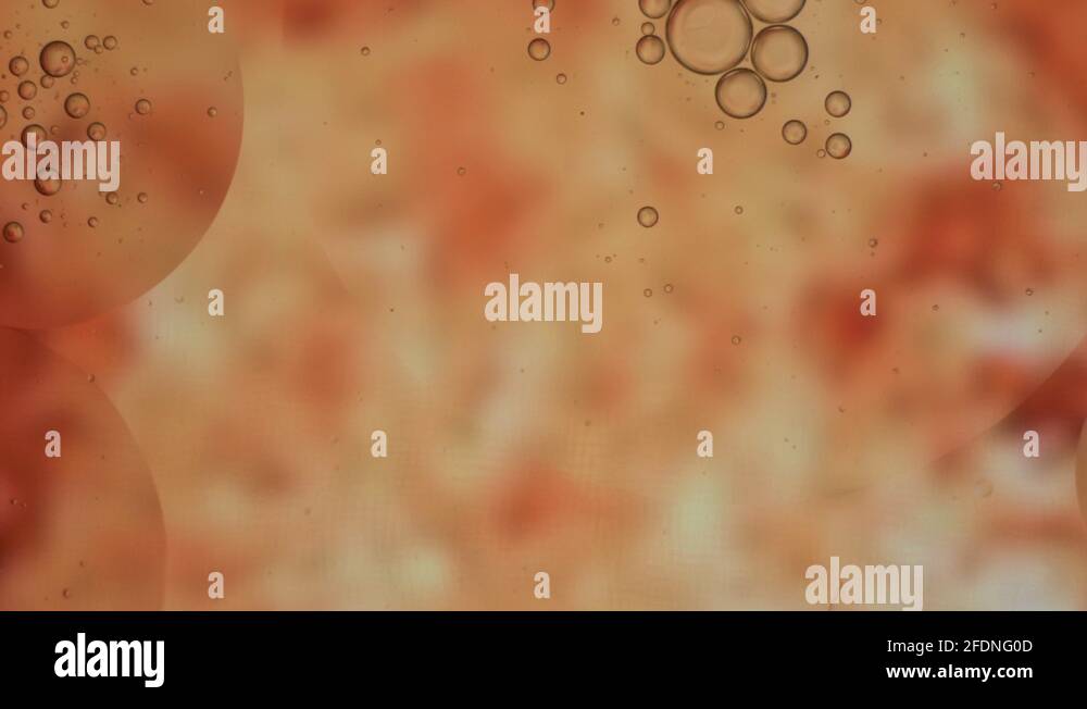 Micrograph red blood cell membrane Stock Videos & Footage - HD and 4K ...