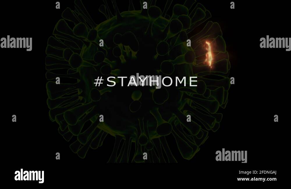 Stayhome Stock Videos & Footage - HD and 4K Video Clips - Alamy