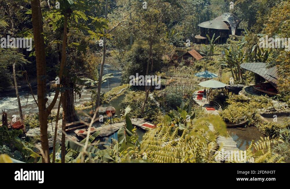 Magic bamboo Stock Videos & Footage - HD and 4K Video Clips - Alamy