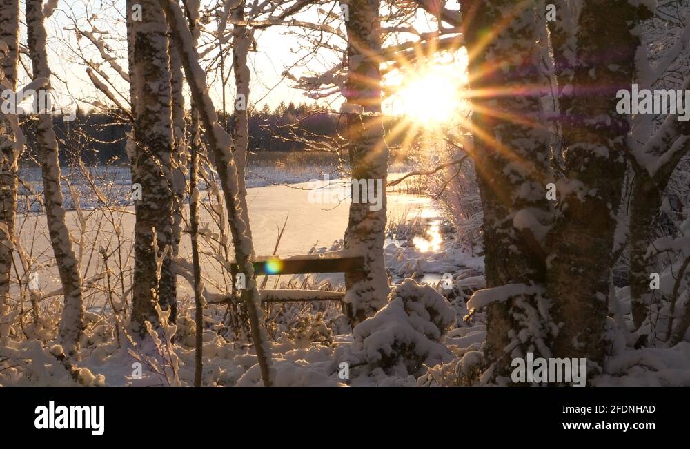 Golden winter Stock Videos & Footage - HD and 4K Video Clips - Alamy