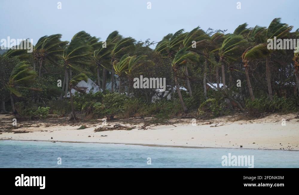 Cyclone flora Stock Videos & Footage - HD and 4K Video Clips - Alamy
