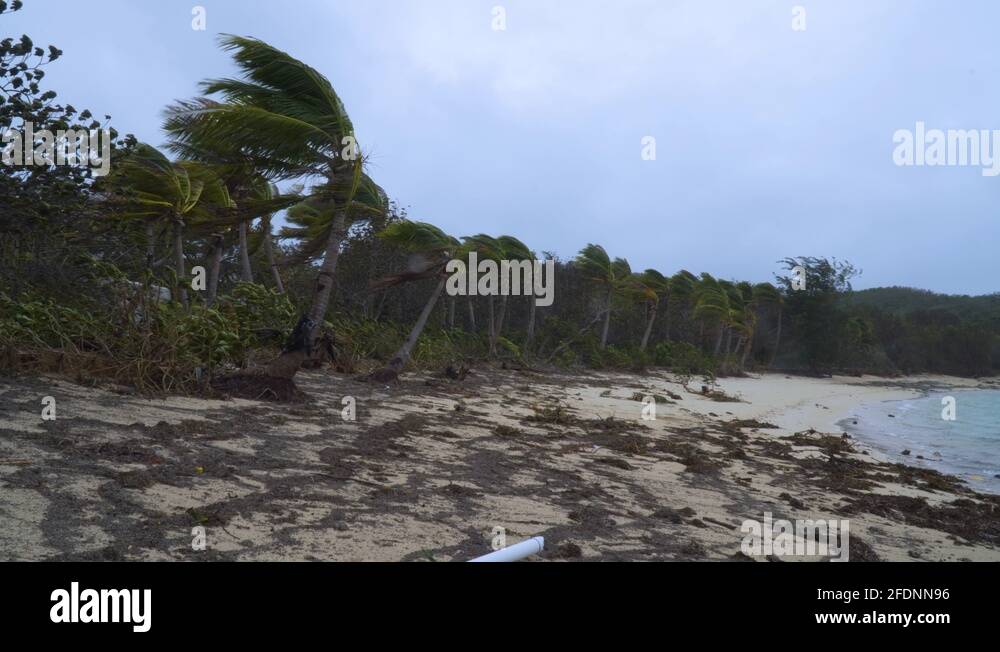 Windy Cyclone Harold leaving a trail of devastation on a beach in Fiji ...