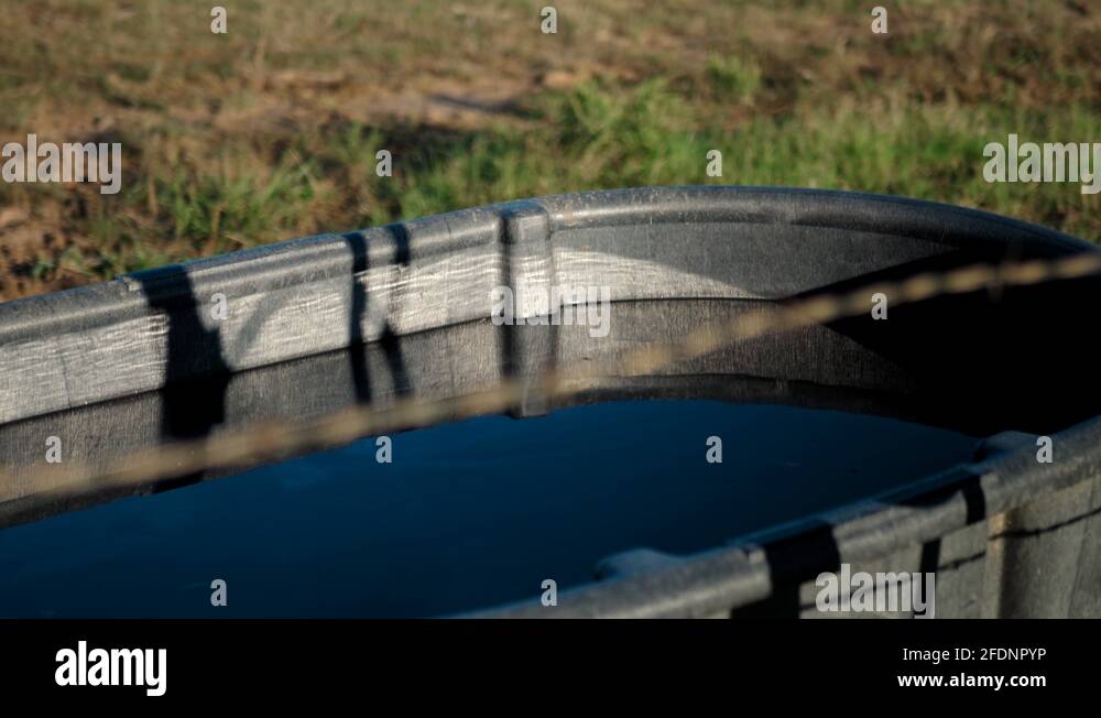 Field water trough Stock Videos & Footage - HD and 4K Video Clips - Alamy