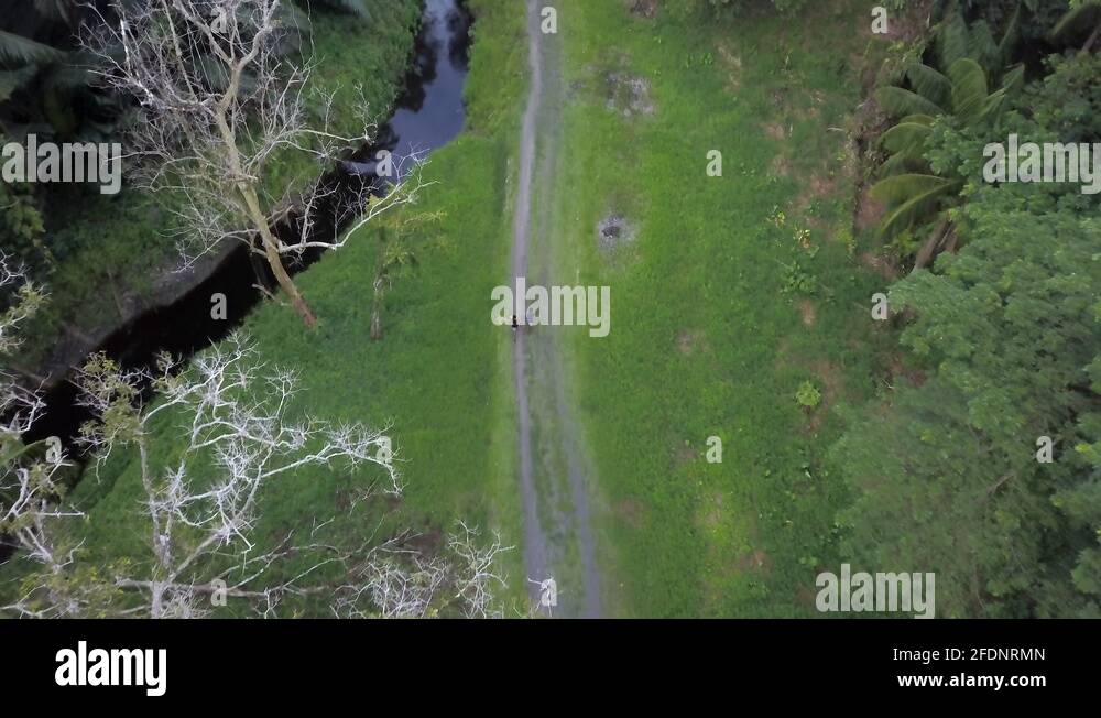 Aerial jib shot of Papua New Guinean children running to school through ...