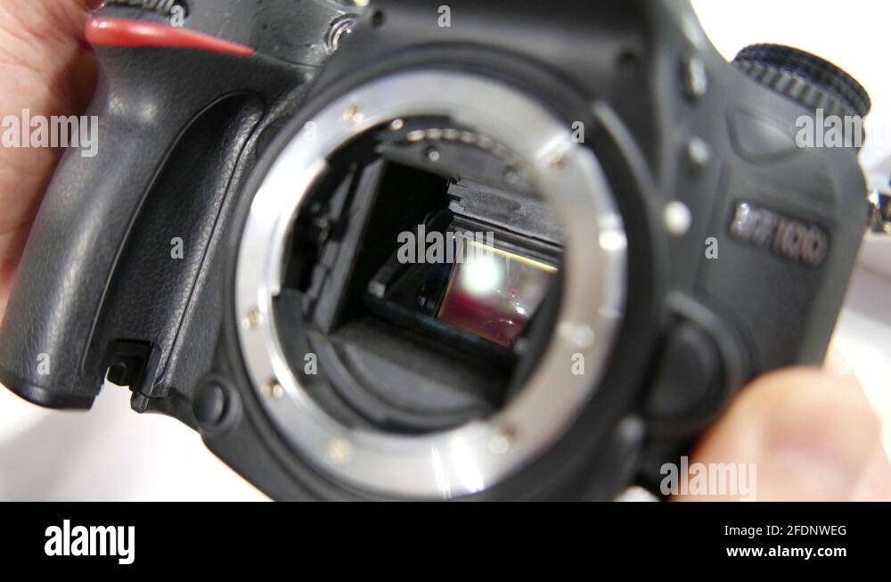 Click that shutter Stock Videos & Footage - HD and 4K Video Clips - Alamy