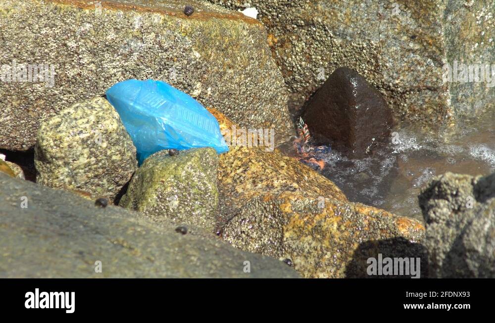 Plastic bag container Stock Videos & Footage - HD and 4K Video Clips ...