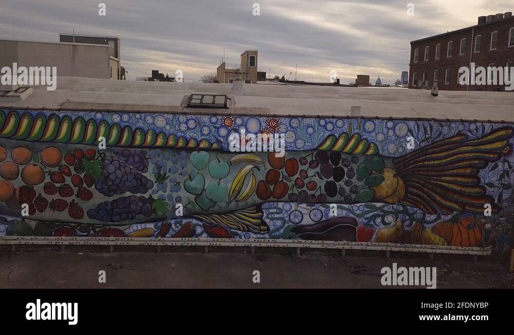 Abstract fish mural Stock Videos & Footage - HD and 4K Video Clips - Alamy