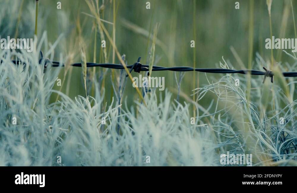 Barbed fire Stock Videos & Footage - HD and 4K Video Clips - Alamy