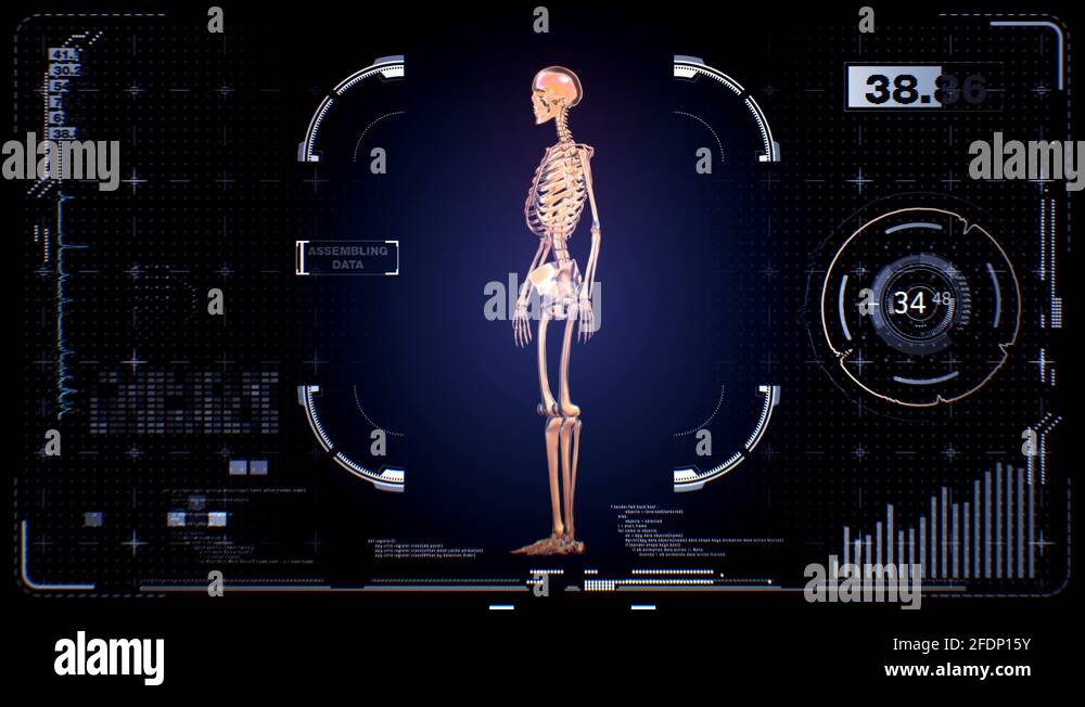 Digital visualization skeleton Stock Videos & Footage - HD and 4K Video ...