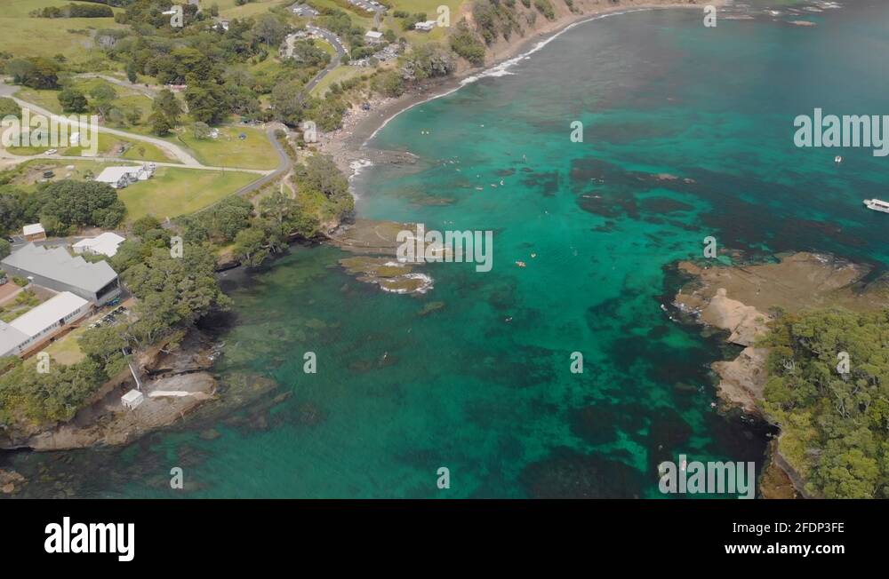 Goat island new zealand Stock Videos & Footage - HD and 4K Video Clips ...