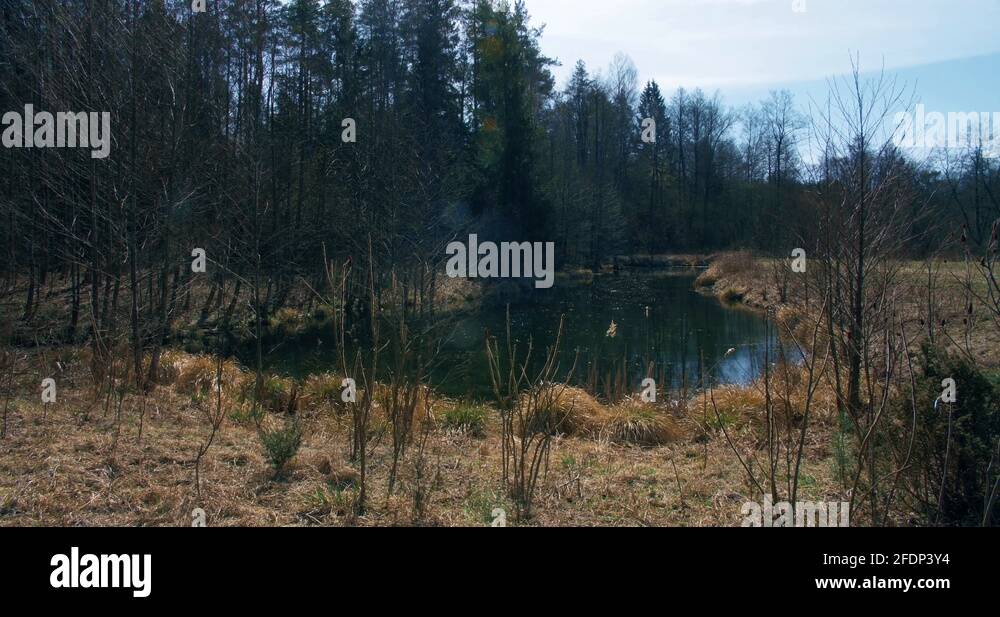 Trees in water reservoir Stock Videos & Footage - HD and 4K Video Clips ...