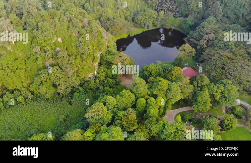 Pathway view Stock Videos & Footage - HD and 4K Video Clips - Alamy