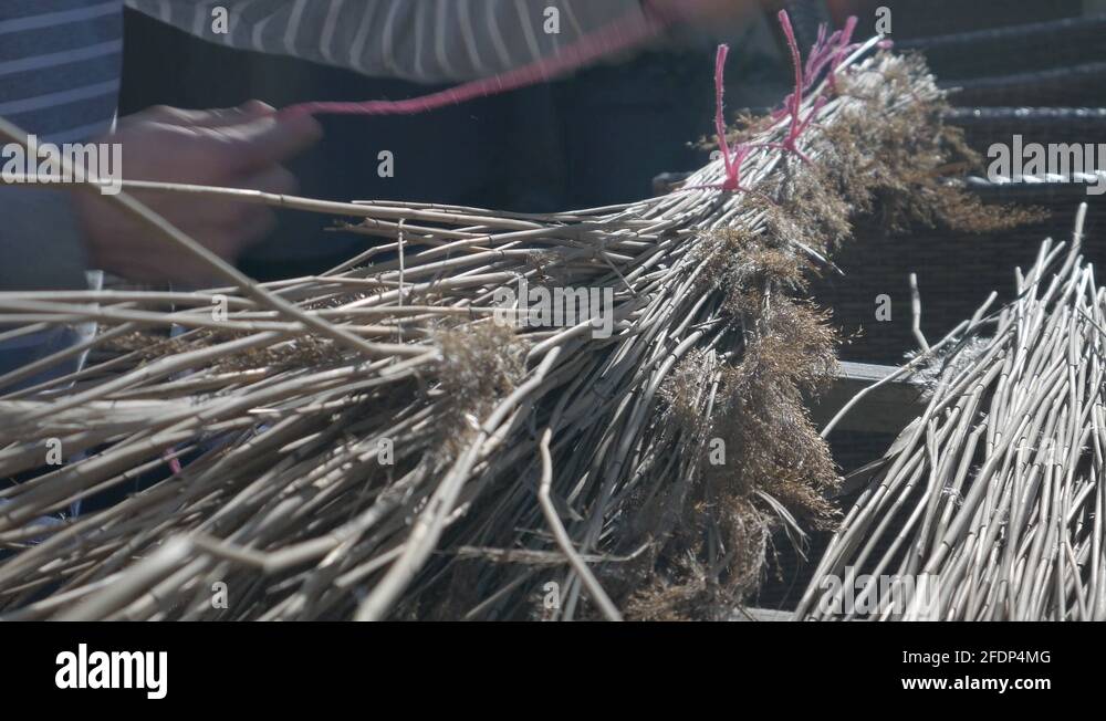 Traditional thatching Stock Videos & Footage - HD and 4K Video Clips ...