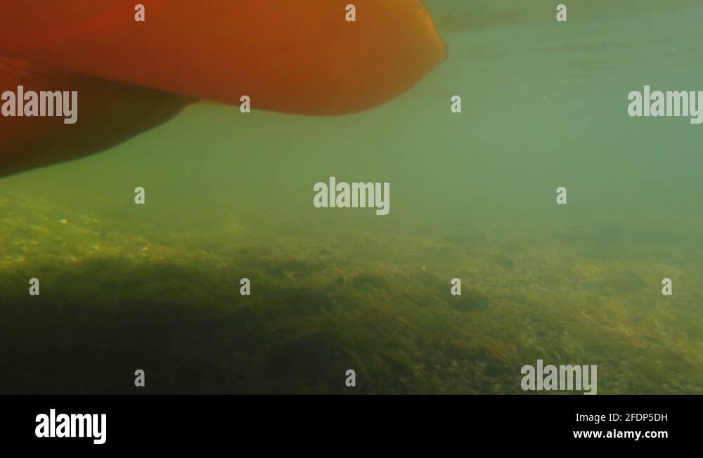 Under water footage of a raft floating through a shallow river Stock ...