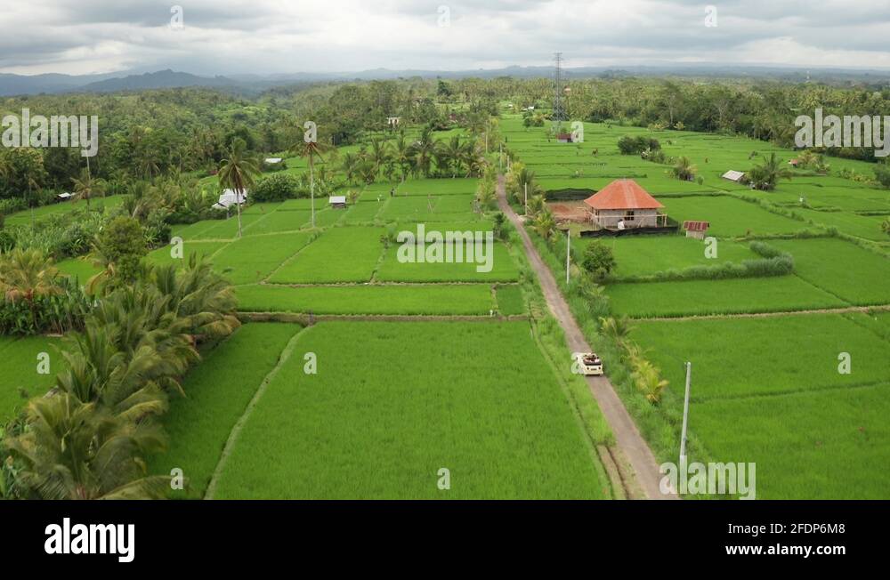 Exploring the beautiful countryside of Bali in Indonesia on a classic ...