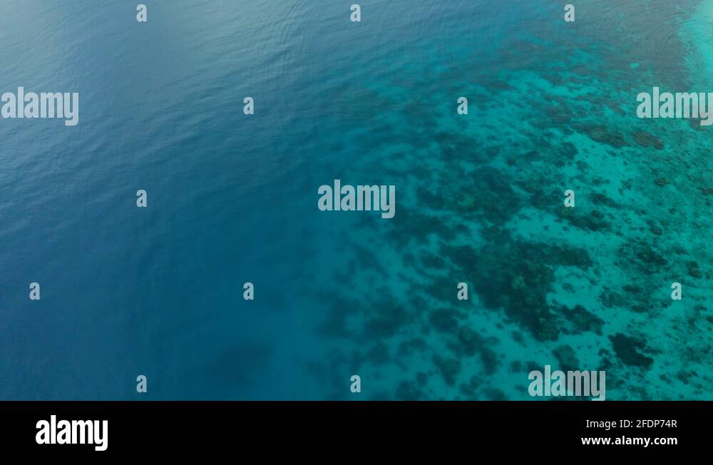 Birds eye view of stunning coral reefs in tropical Pacific Ocean ...